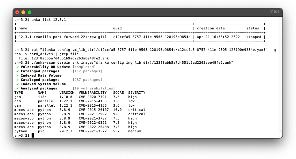 Security vulnerability scanning with Anka Scan - Veertu